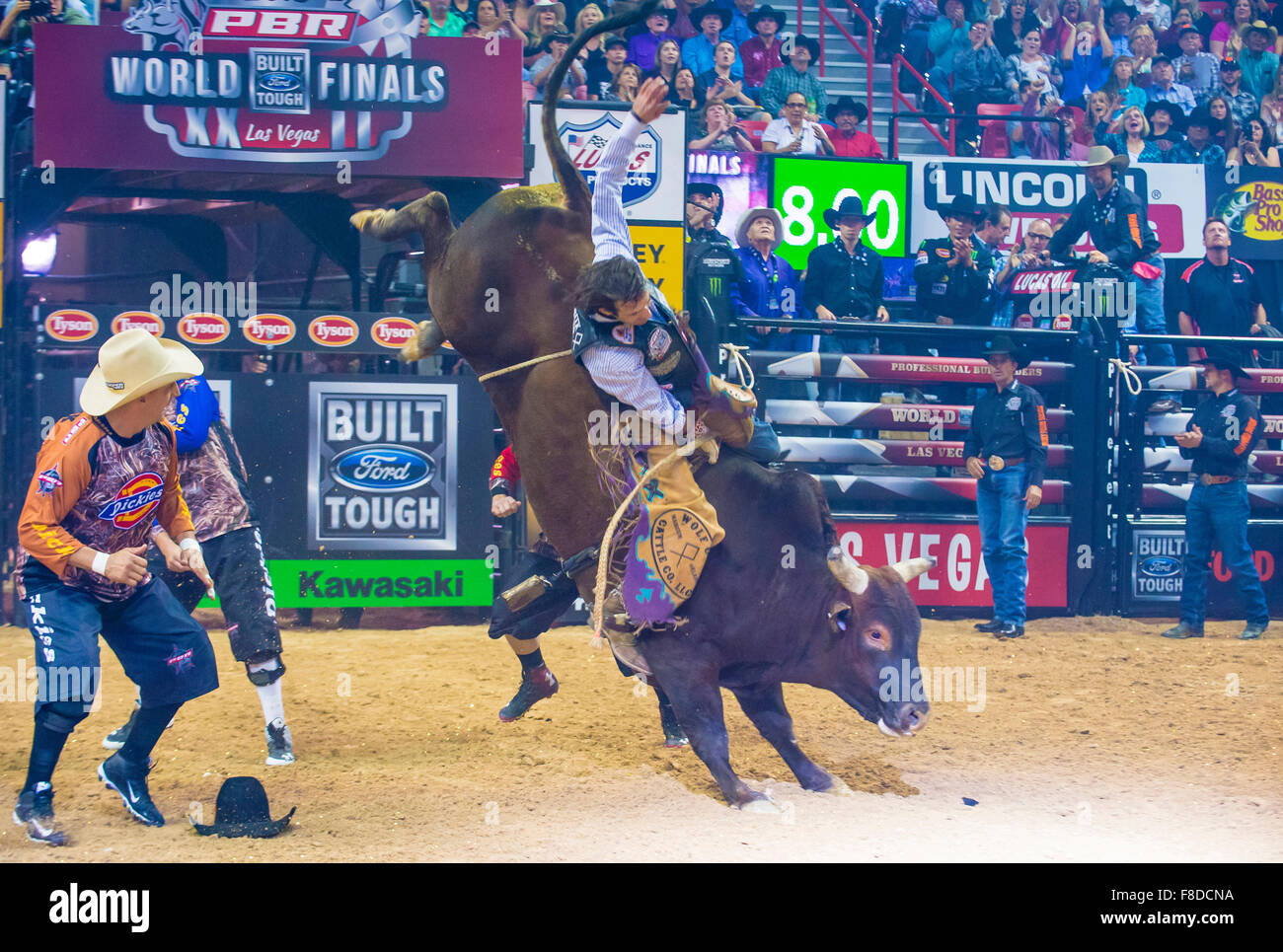 Cowboy Participating in the PBR bull riding world finals. The bull ...