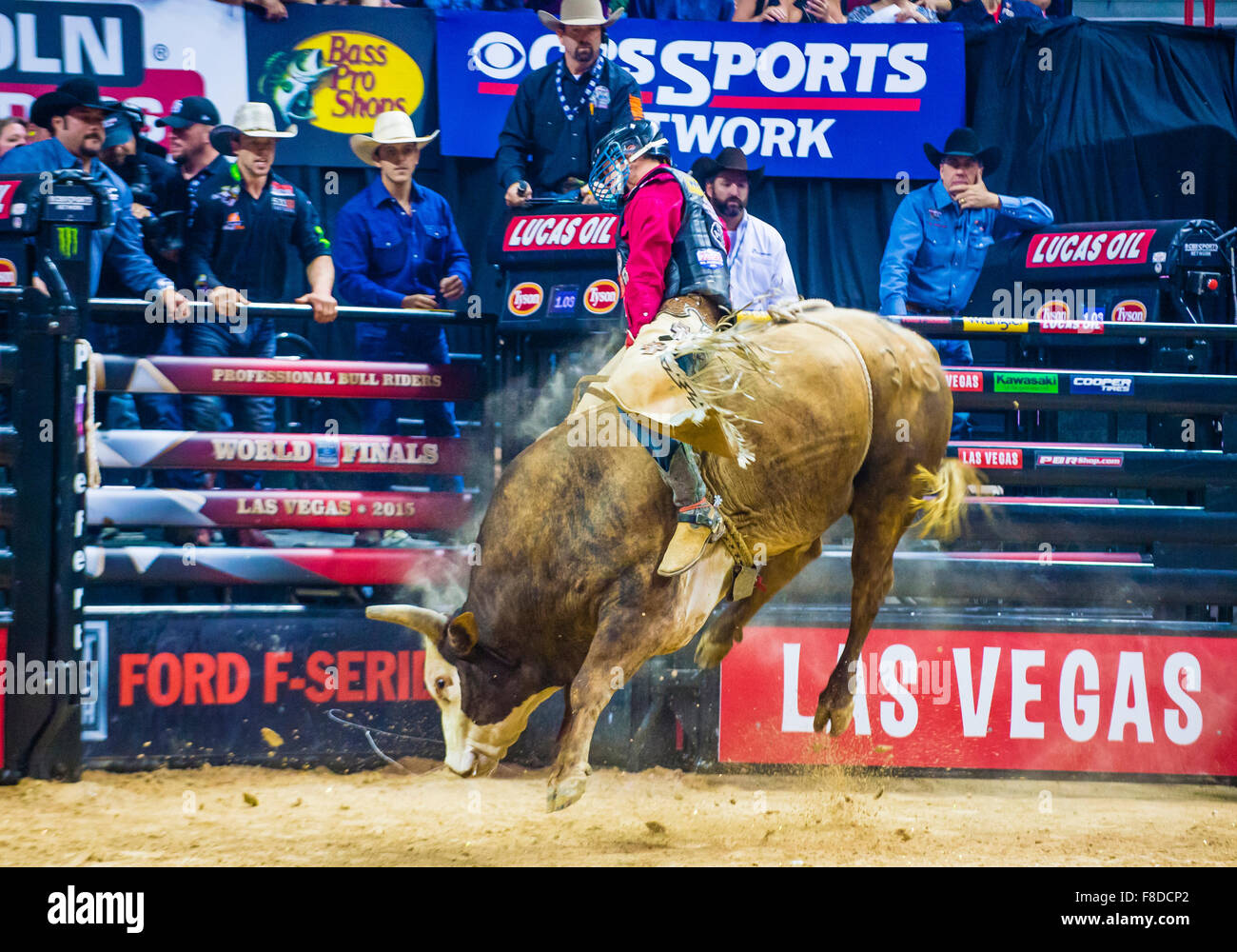 Cowboy pbr bull hi-res stock photography and images - Alamy