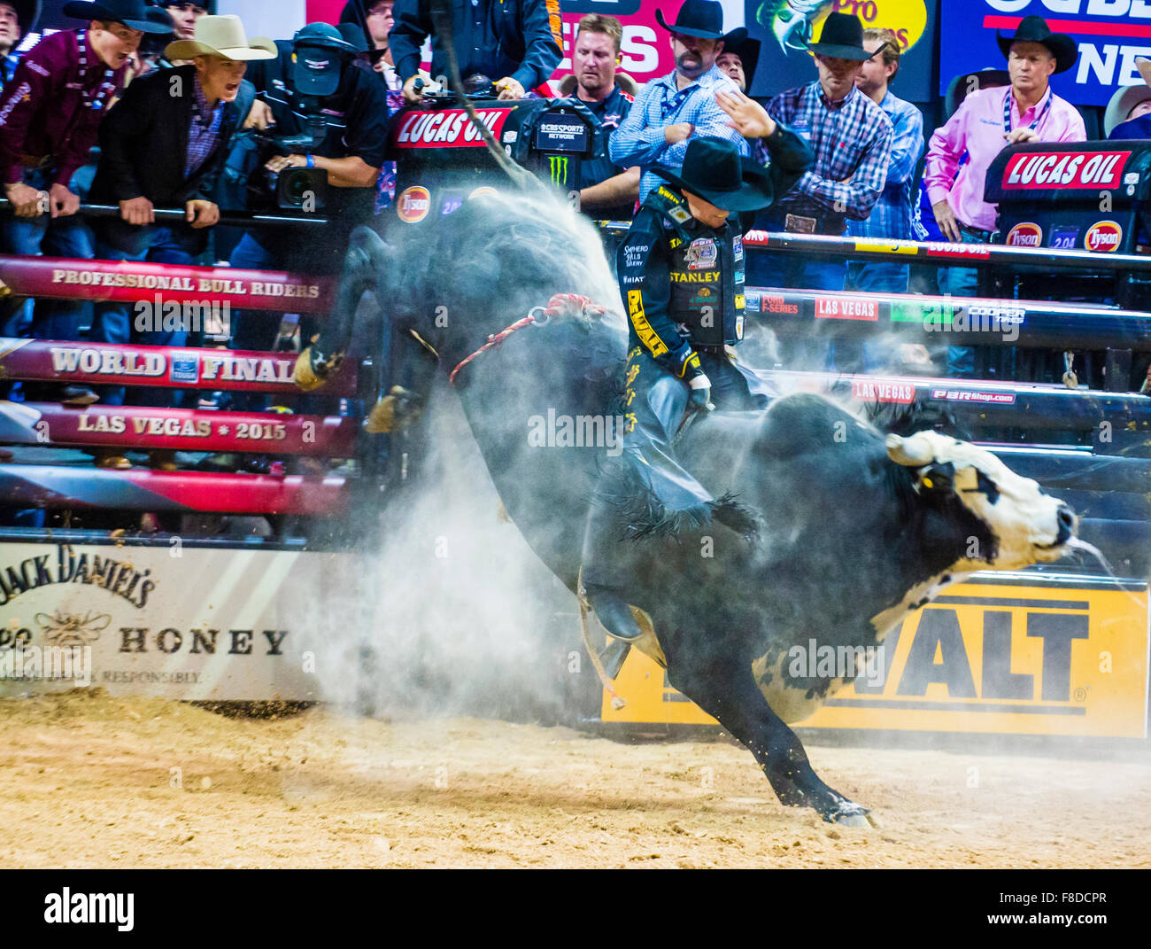 Cowboy Participating in the PBR bull riding world finals. The bull ...