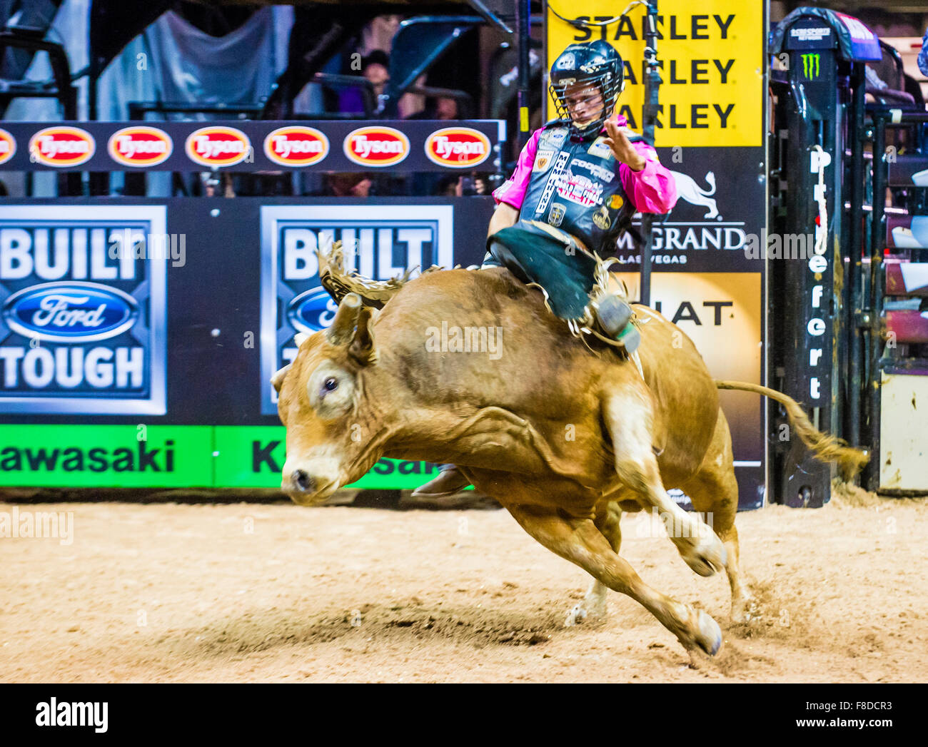 Cowboy Participating in the PBR bull riding world finals. The bull ...