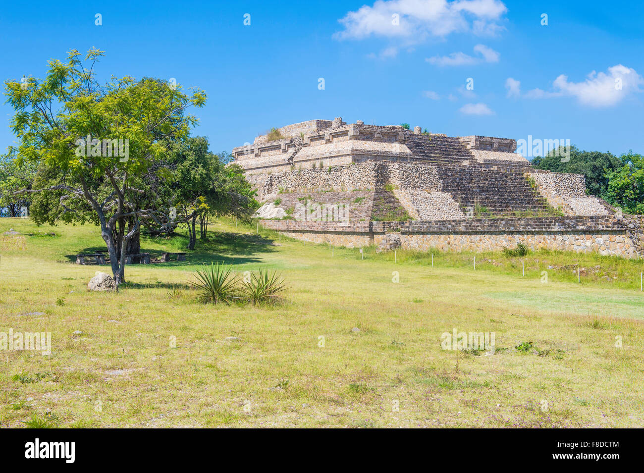 The ruins of the Zapotec city of Monte Alban in Oaxaca, Mexico Stock ...