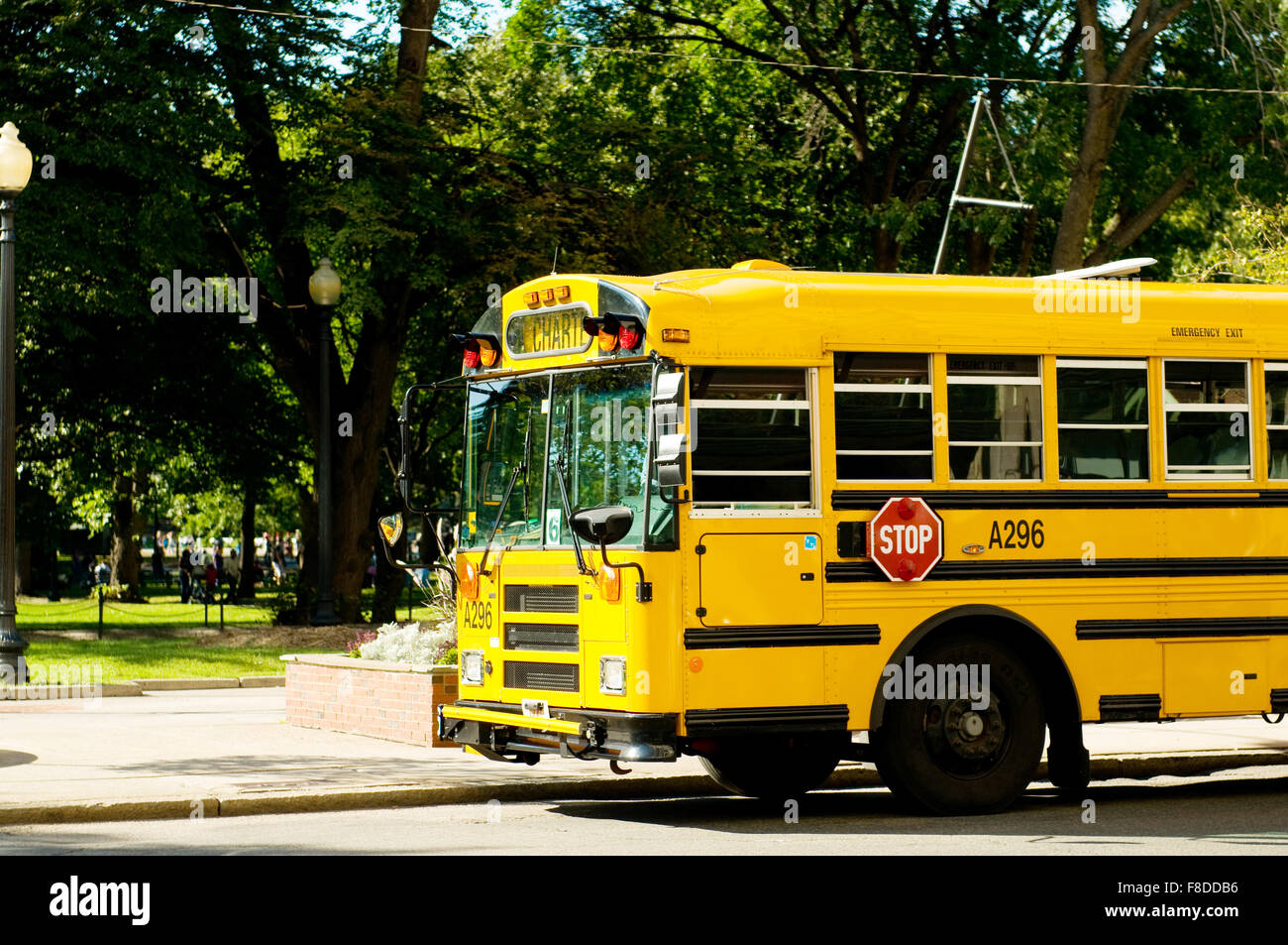 Yellow school bus on the street Stock Photo - Alamy