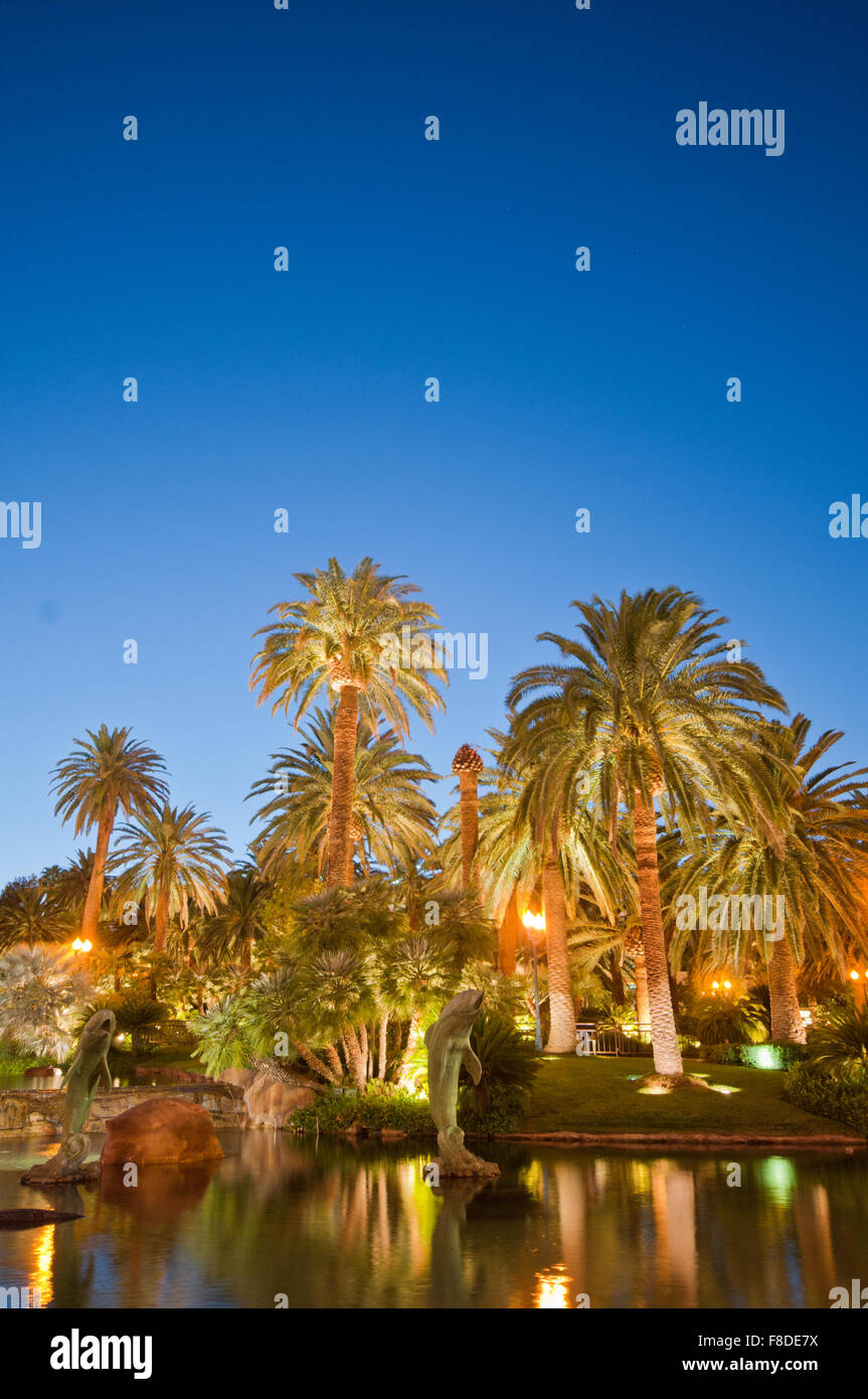 Palm trees during sunset Stock Photo - Alamy