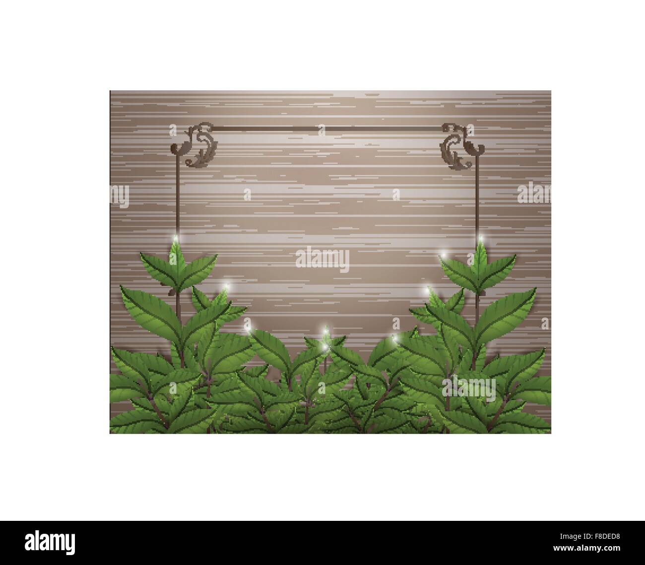 Tea tree fence Stock Vector Images - Alamy
