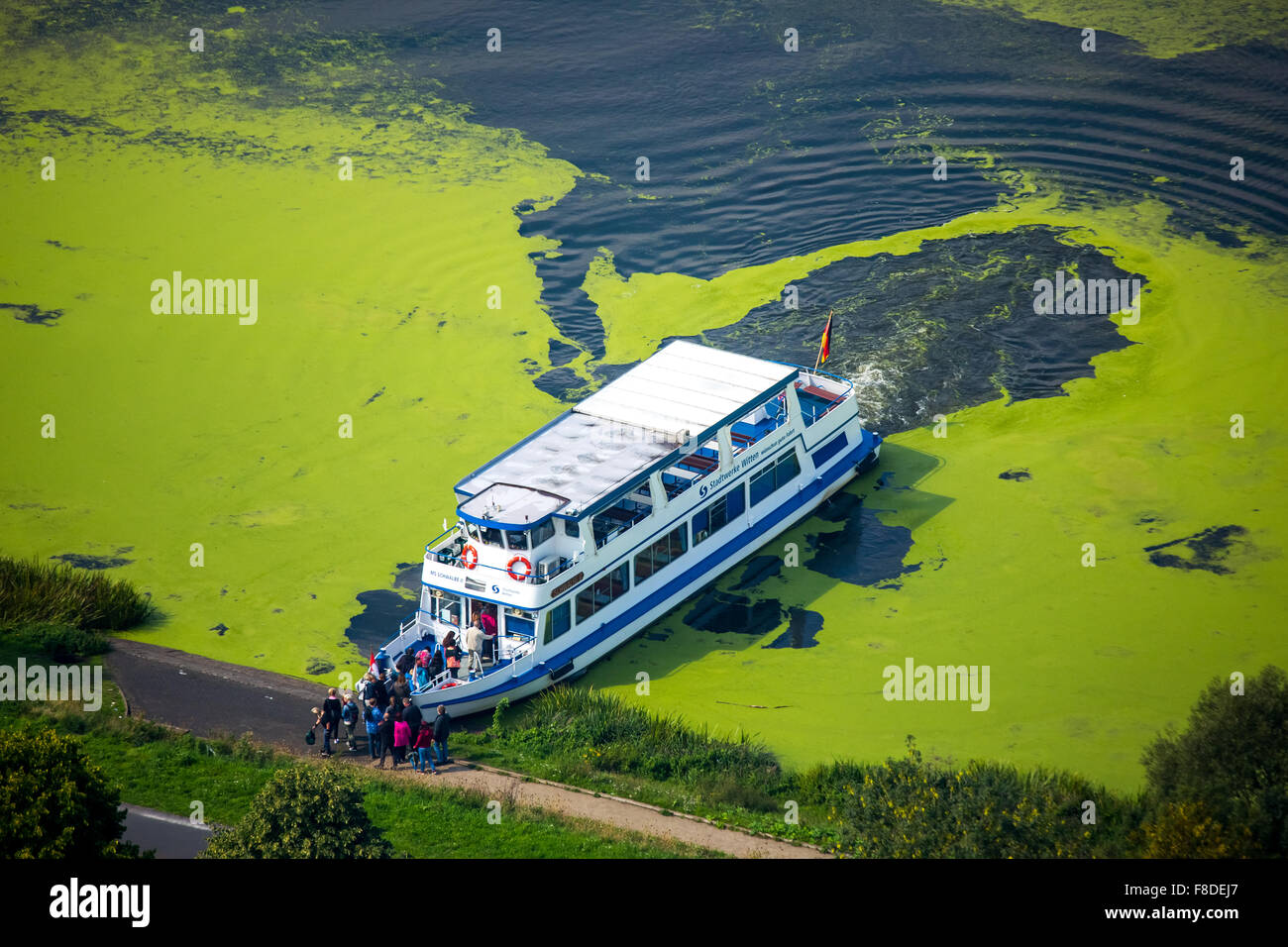 Waterweed, Elodea, the passenger ship Schwalbe II puts on Witten page ...