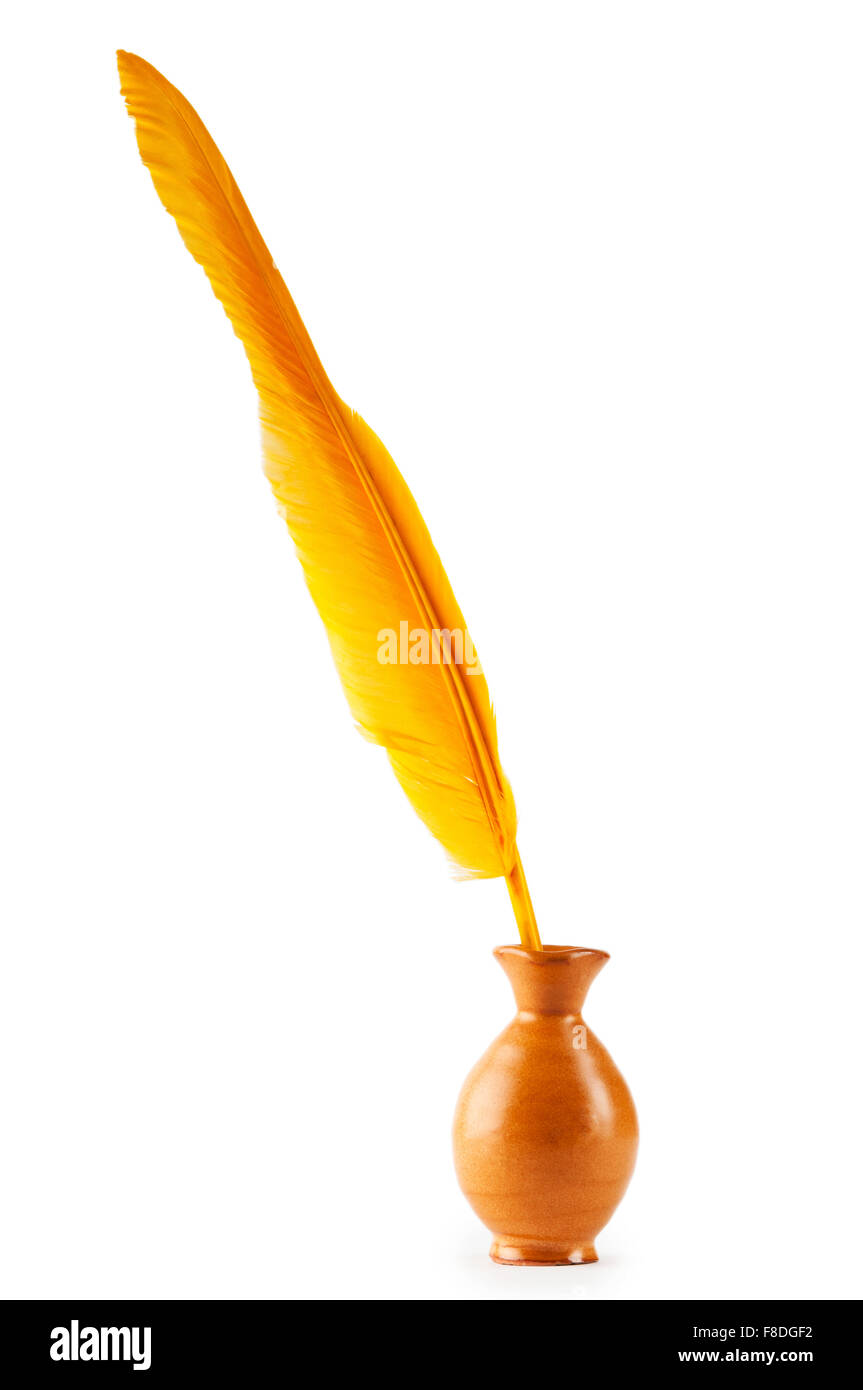 Writing feather isolated on the white background Stock Photo - Alamy