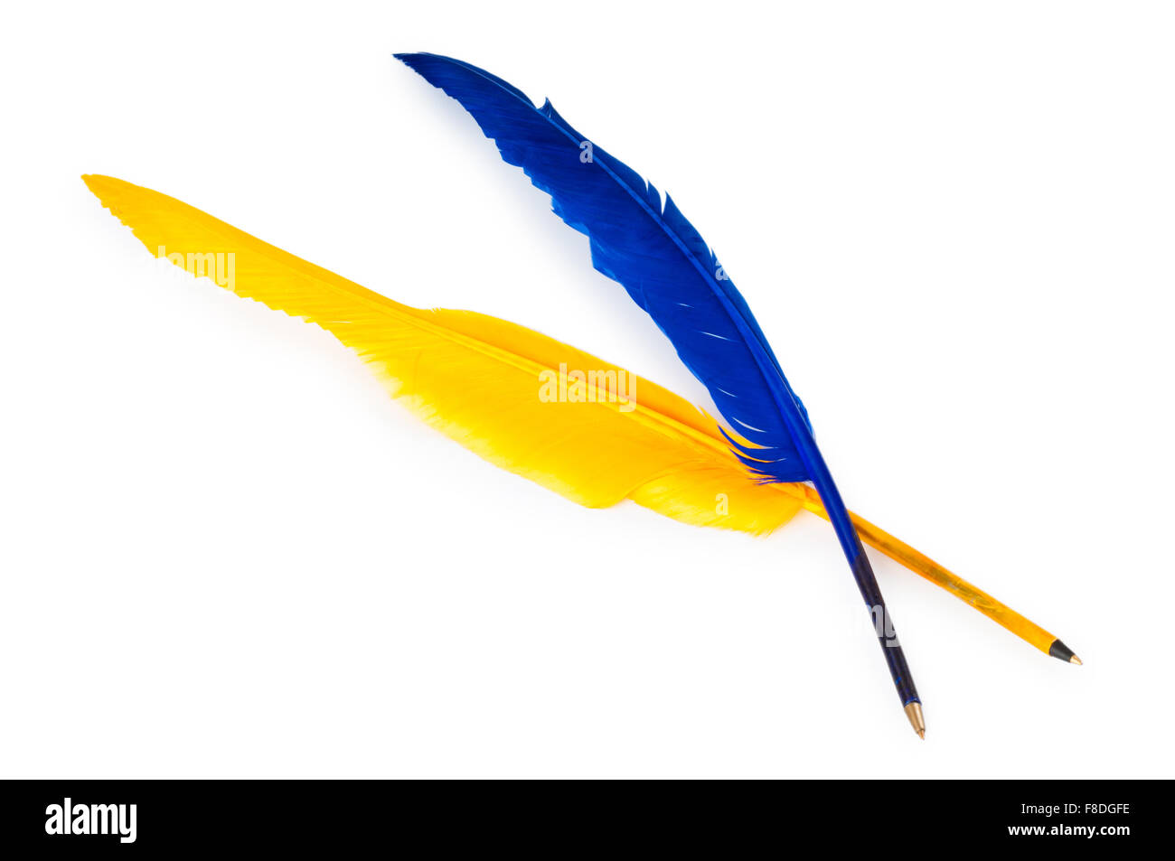 Writing feather isolated on the white background Stock Photo - Alamy