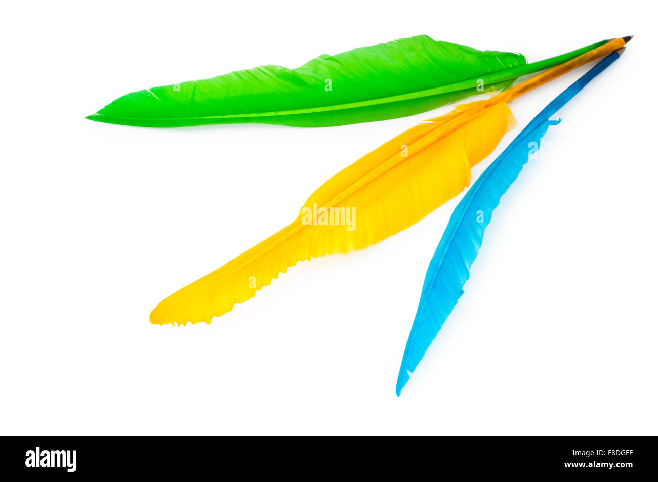 Writing feather isolated on the white background Stock Photo - Alamy