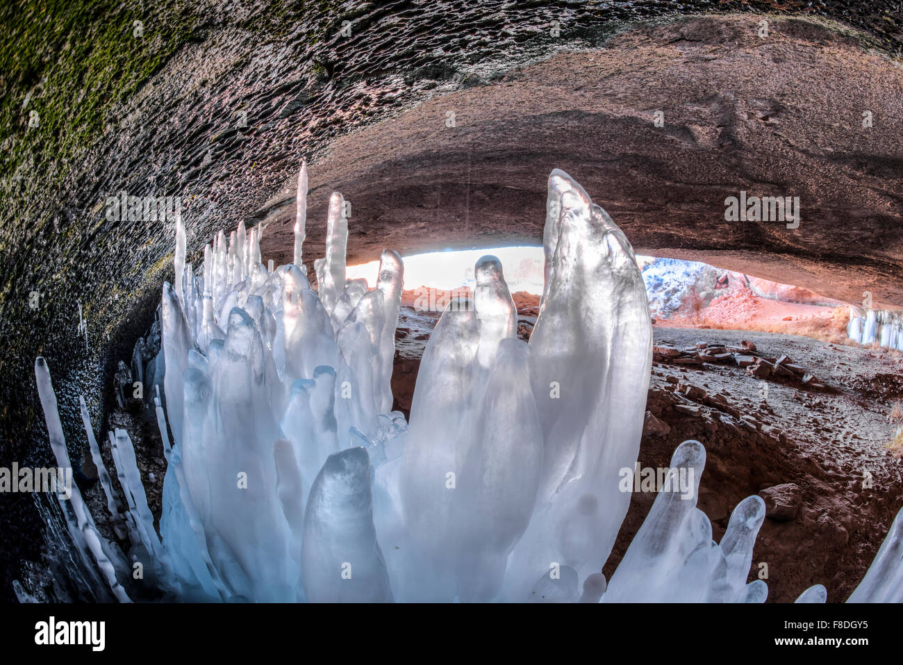 Ice forms at a spring, Arches National Park, Utah, Rare ice forms after ...