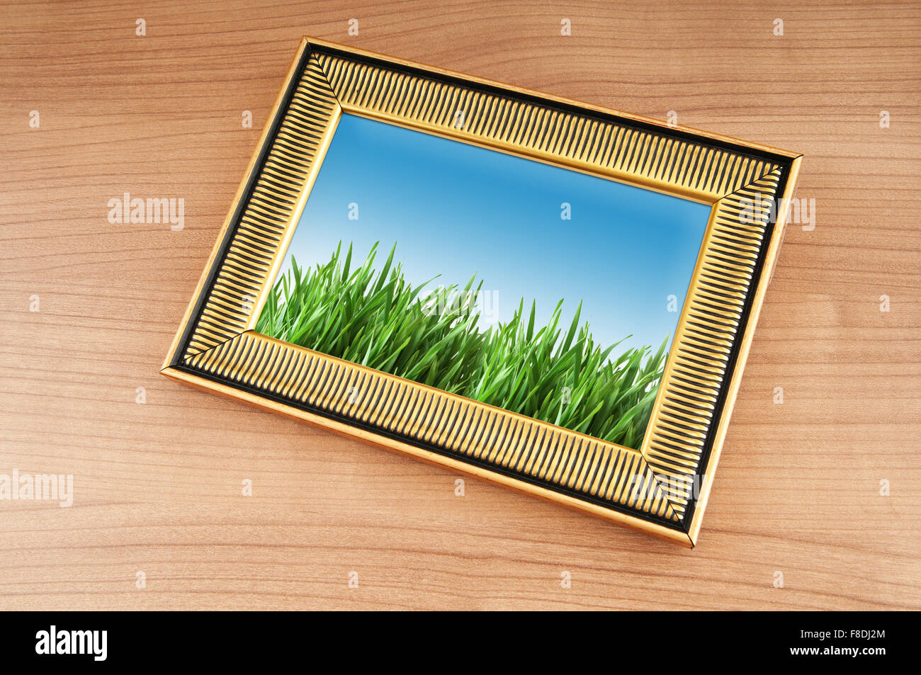 Green grass on the photo frame Stock Photo - Alamy