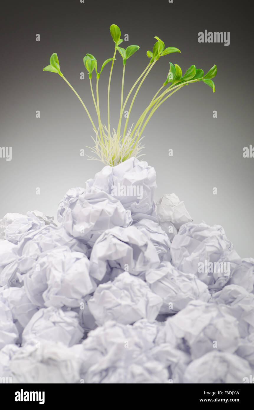 Green seedlings growing out of paper Stock Photo - Alamy