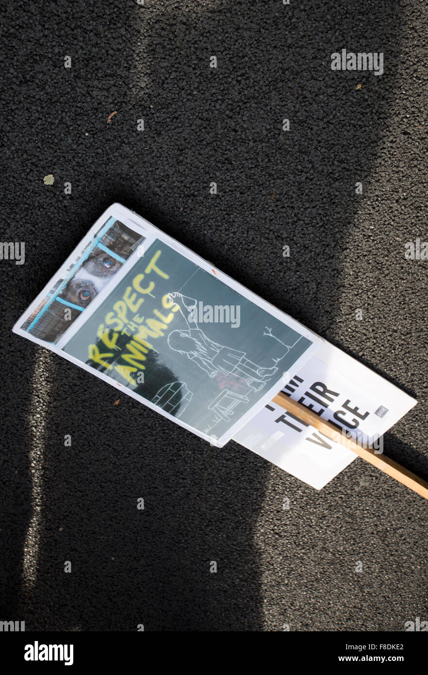Belgian Gaia activists protest on the streets of Brussels Stock Photo ...