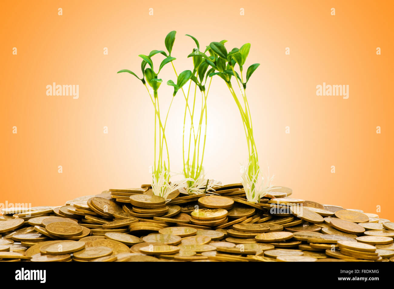 Money growth concept with coins and seedling Stock Photo - Alamy