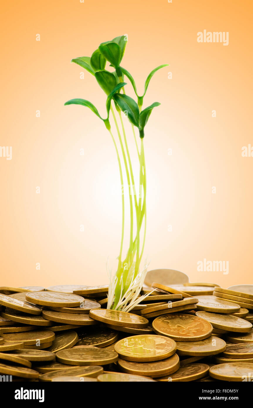 Money growth concept with coins and seedling Stock Photo - Alamy
