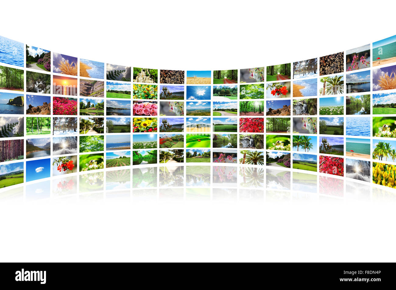 Collage of many nature photos Stock Photo - Alamy