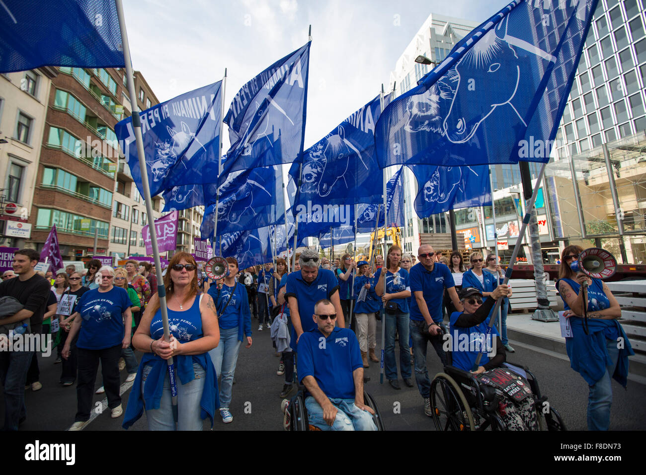 Belgian struggle hi-res stock photography and images - Alamy