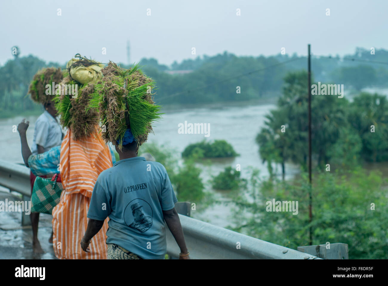Chennai dam hi-res stock photography and images - Alamy