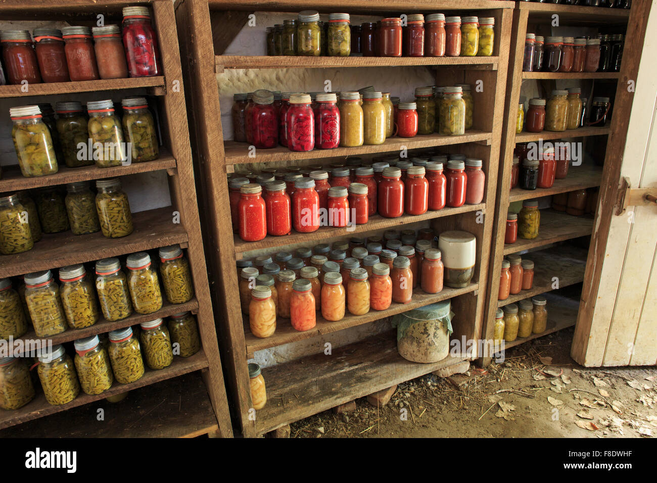 Preserved vegetables in a cellar Stock Photo - Alamy