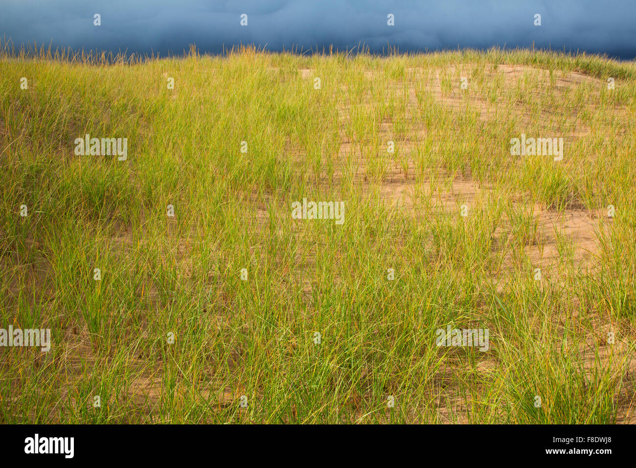 Dunes on Au Train Bay, Hiawatha National Forest, Michigan Stock Photo ...