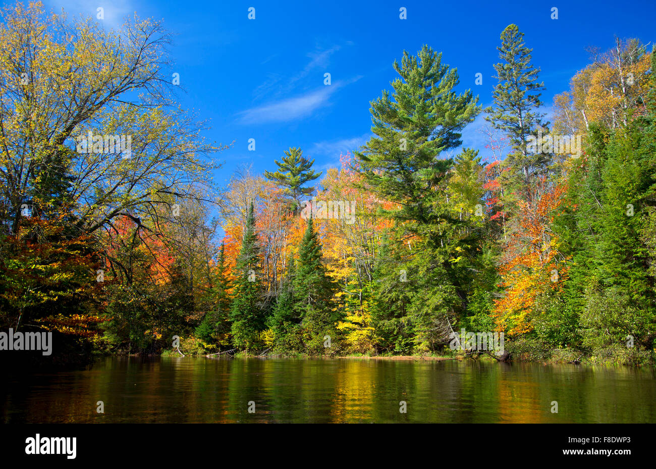 Manistique River, Seney National Wildlife Refuge, Michigan Stock Photo ...