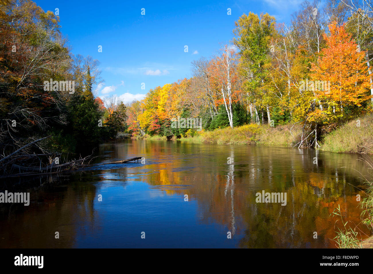 Manistique River, Seney National Wildlife Refuge, Michigan Stock Photo ...