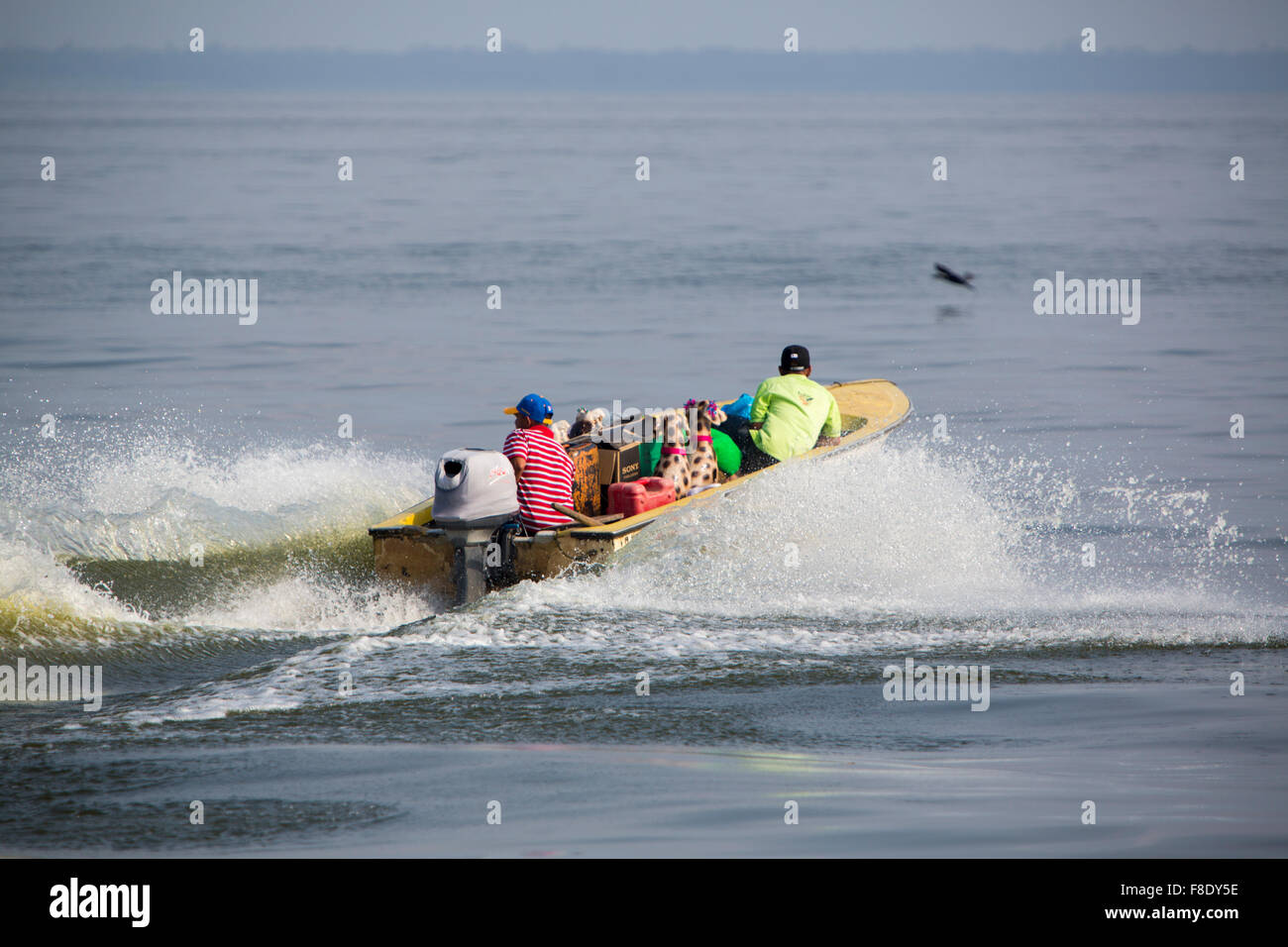 Speed boat cruising on the Maracaibo lake, Venezuela Stock Photo - Alamy