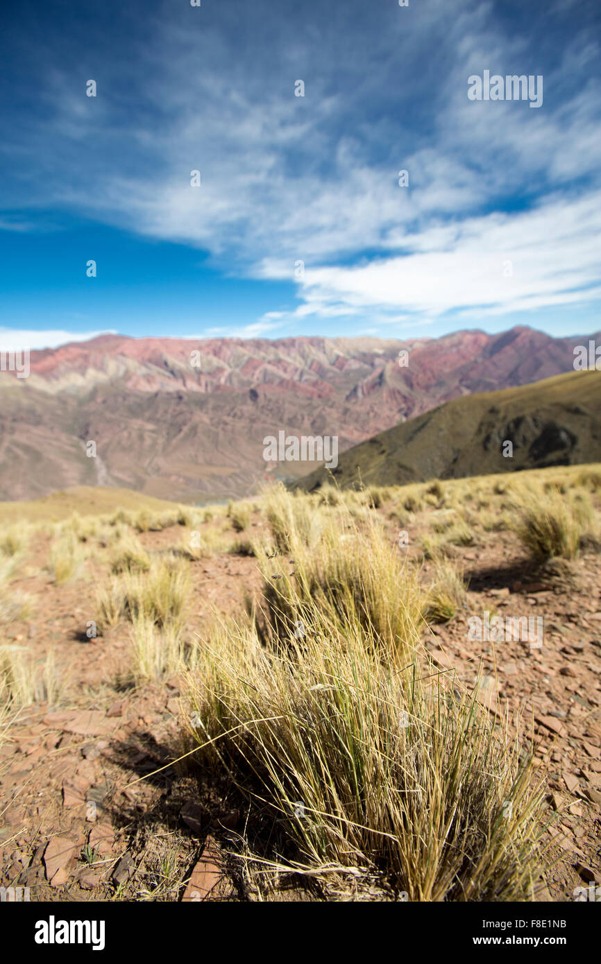 Quebrada de Humahuaca, Northern Argentina Stock Photo - Alamy