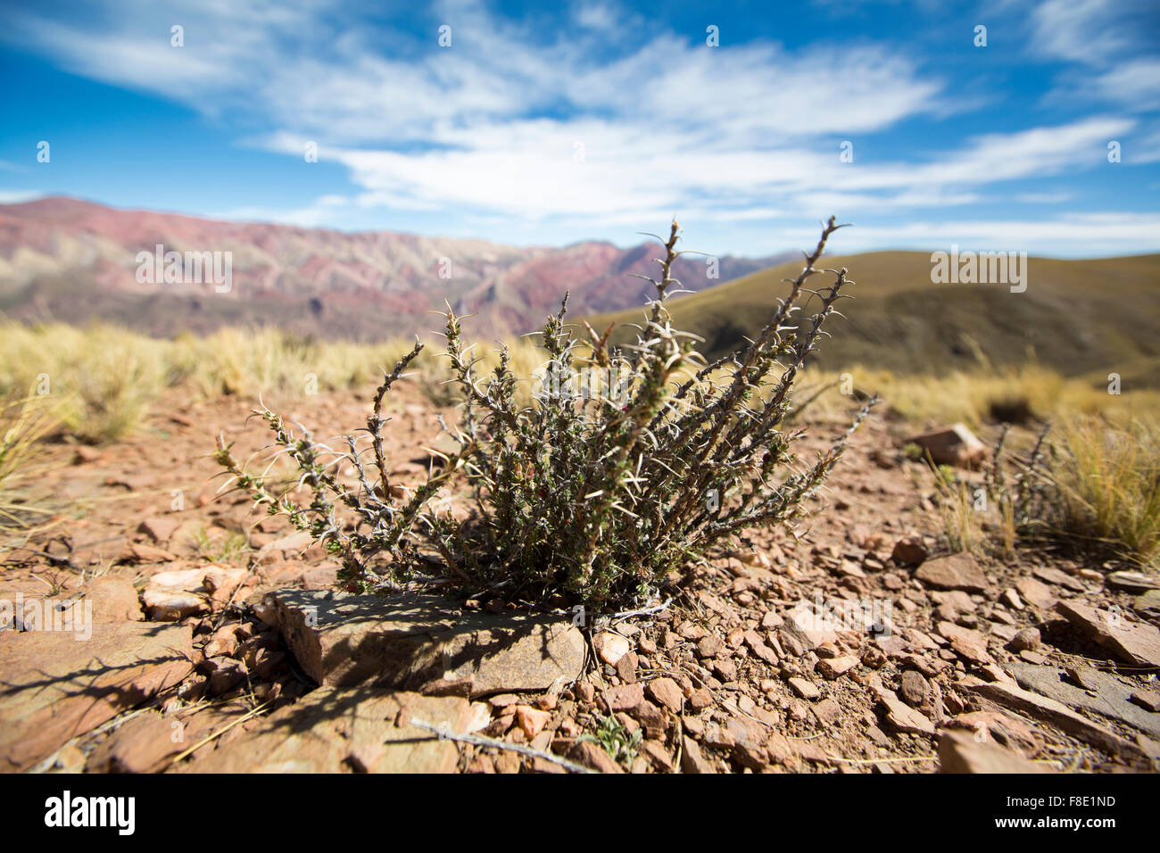 Quebrada de Humahuaca, Northern Argentina Stock Photo - Alamy