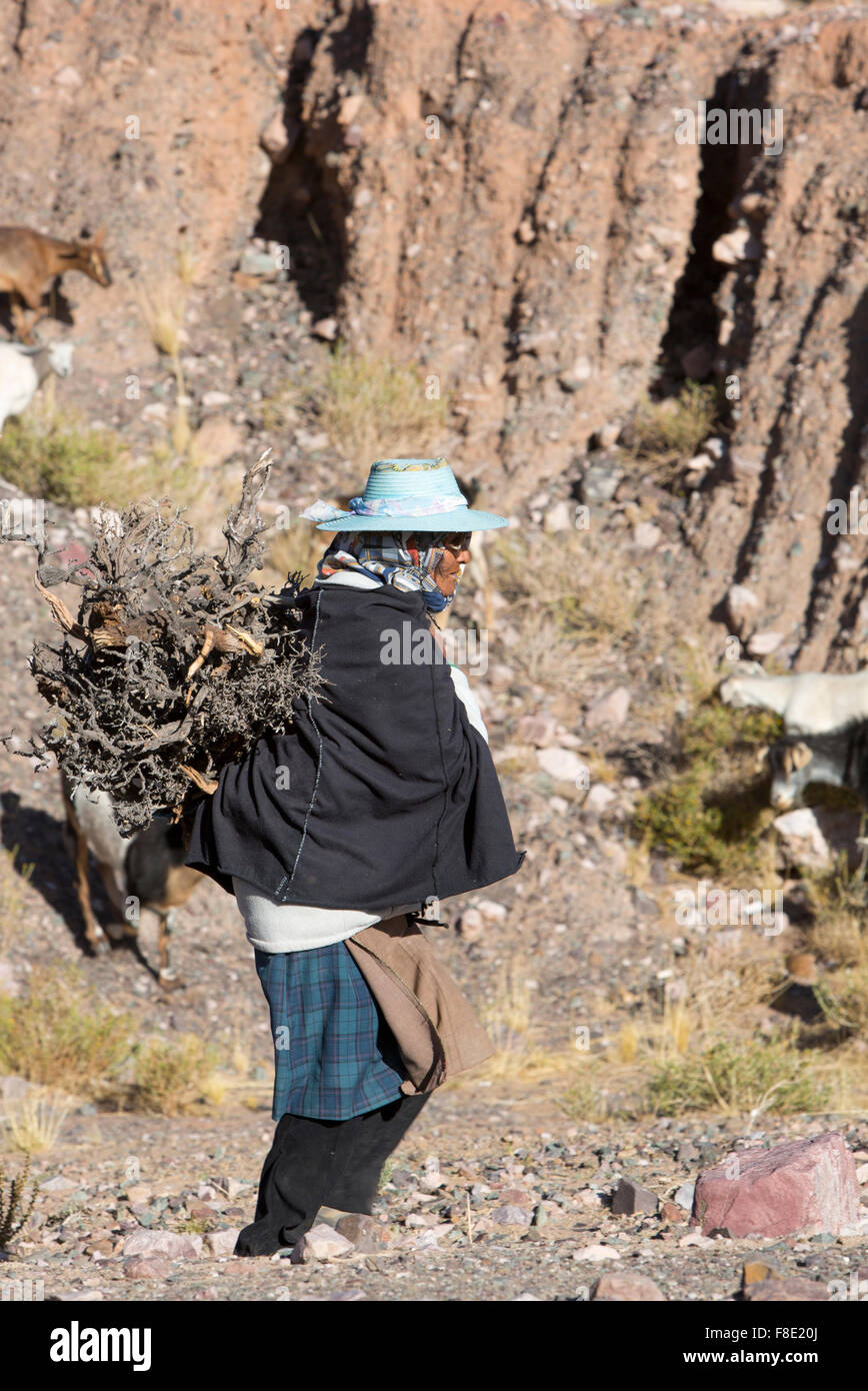 Indigenous woman with shepherd on Ruta 40, Jujuy. Argentina Stock Photo ...