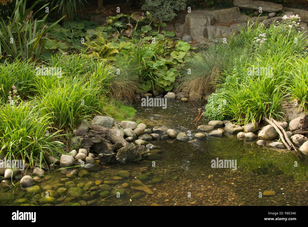 Rocky stream running through hi-res stock photography and images - Alamy