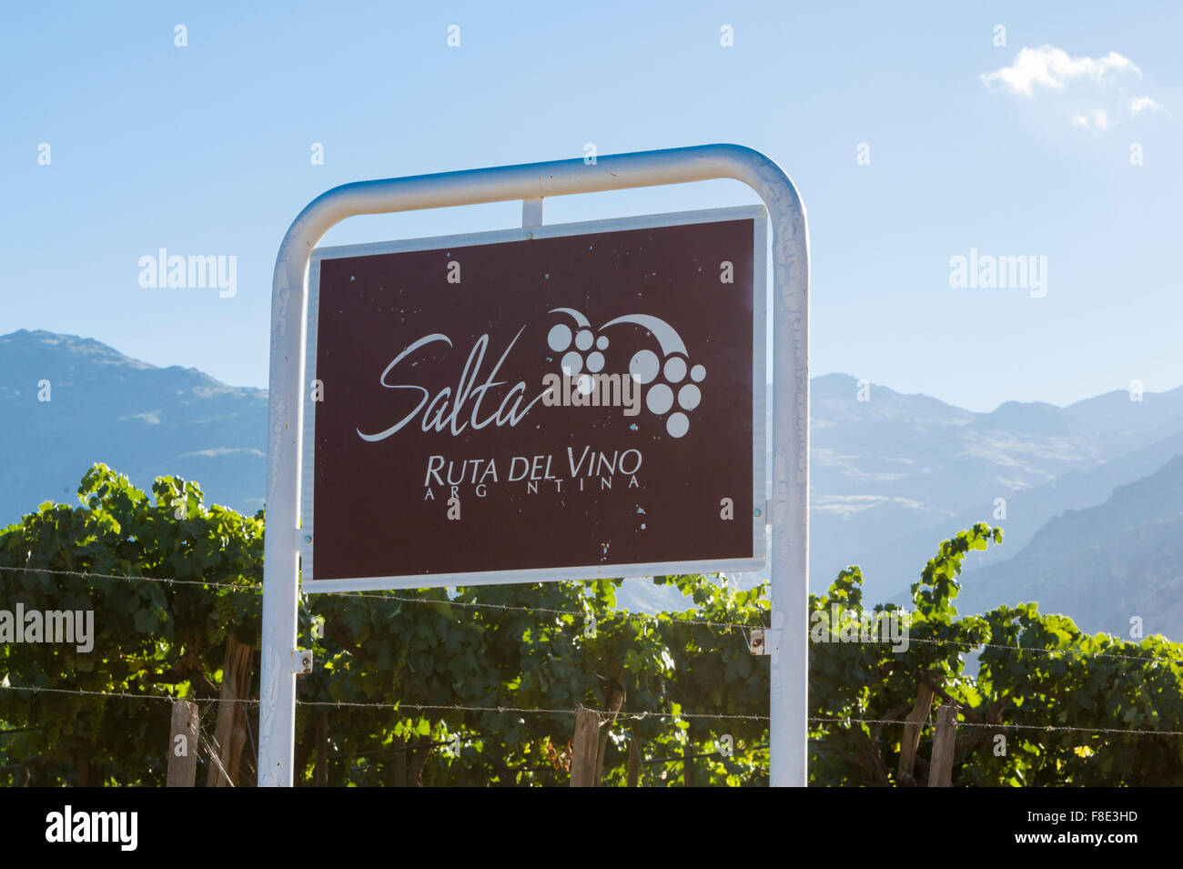 Wine growing argentina hi-res stock photography and images - Alamy