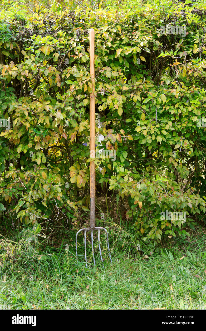 Hay pitchfork hi-res stock photography and images - Alamy