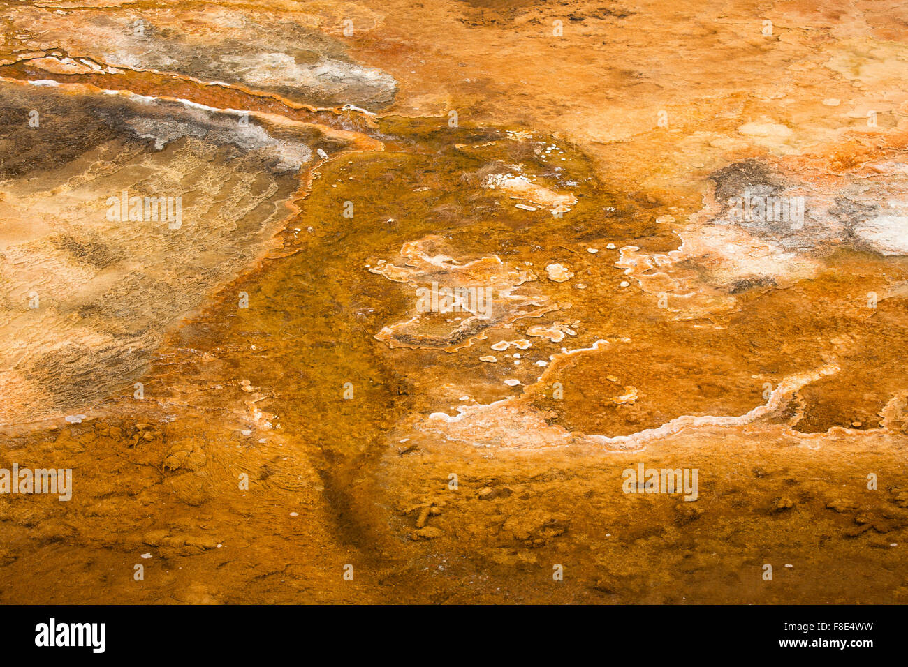 Yellowstone geothermal pools hi-res stock photography and images - Alamy
