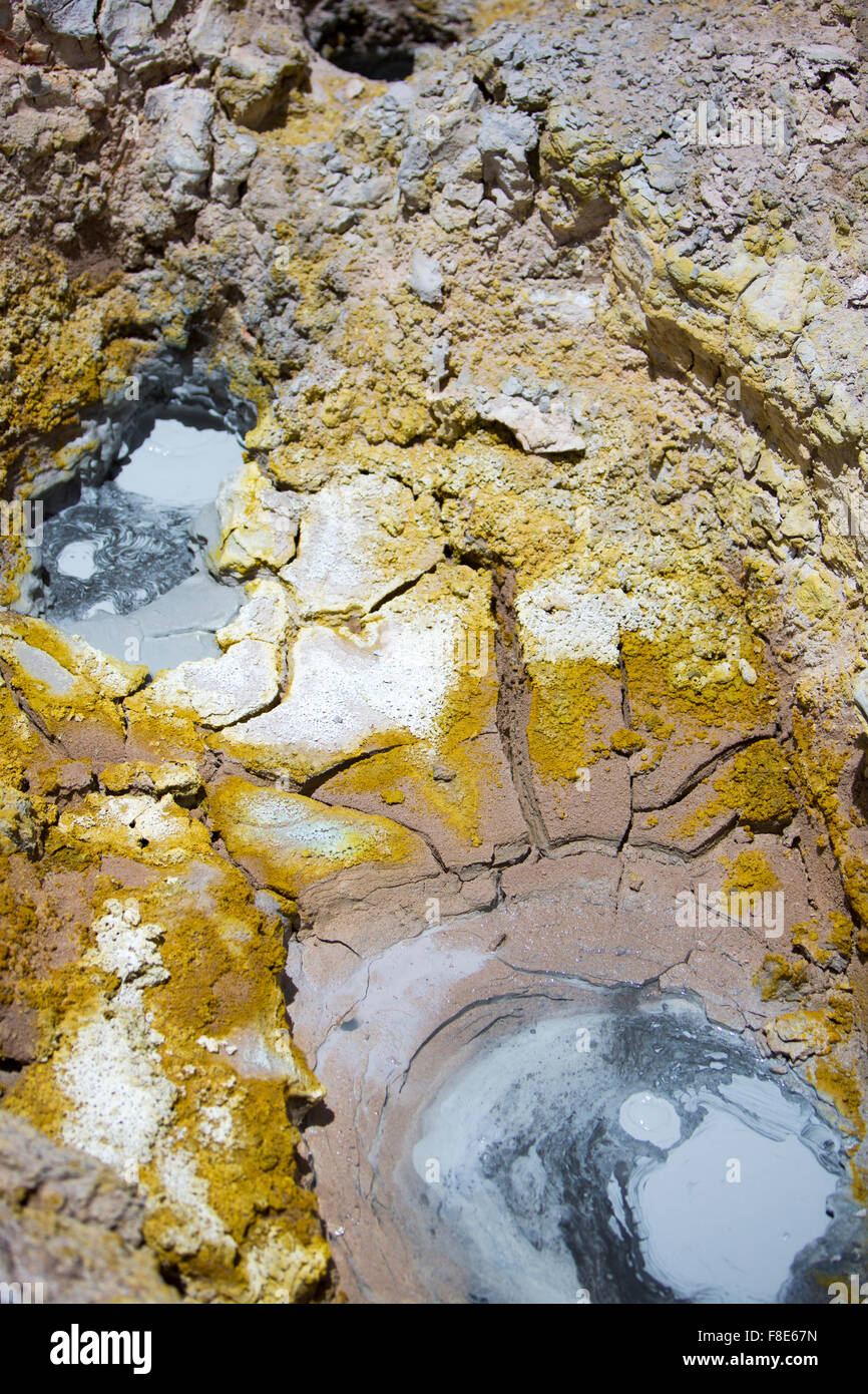 Geyser geothermal activity steam view hi-res stock photography and ...
