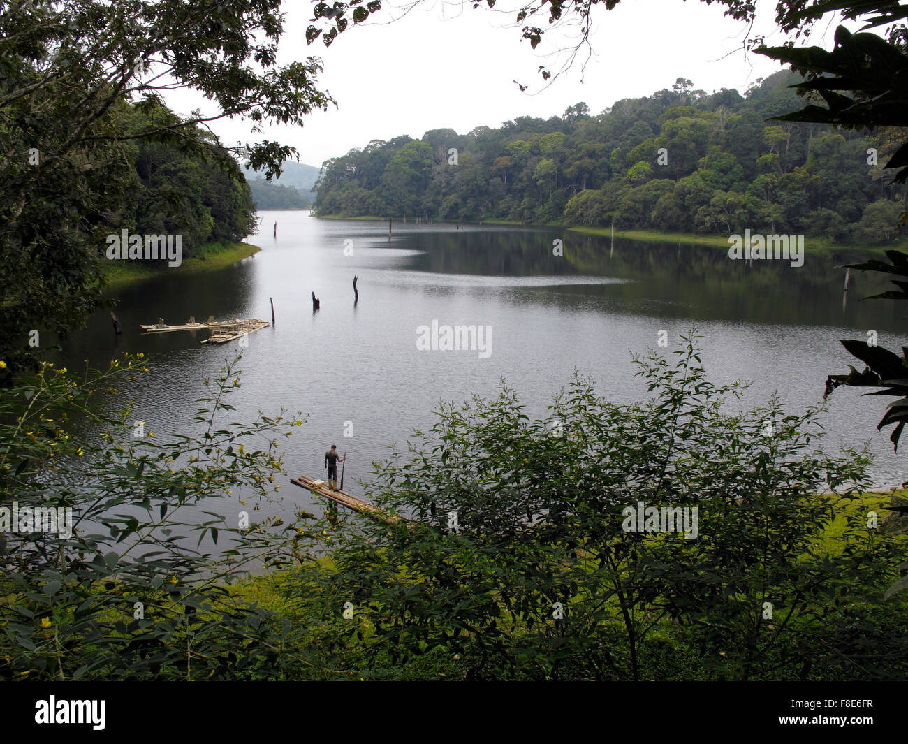 Periyar wildlife sanctuary hi-res stock photography and images - Alamy