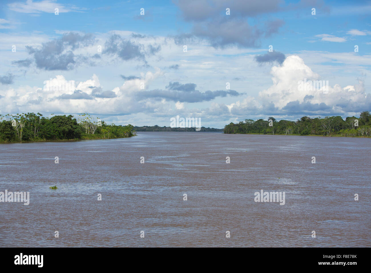Panorama of the Amazon river and the rain forest with a cloudy blue sky ...