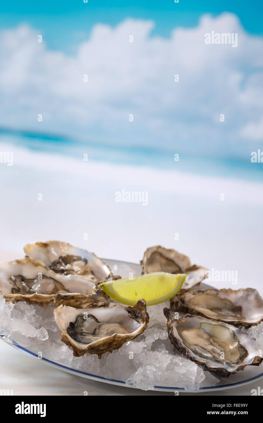 French appetizer oysters Stock Photo - Alamy