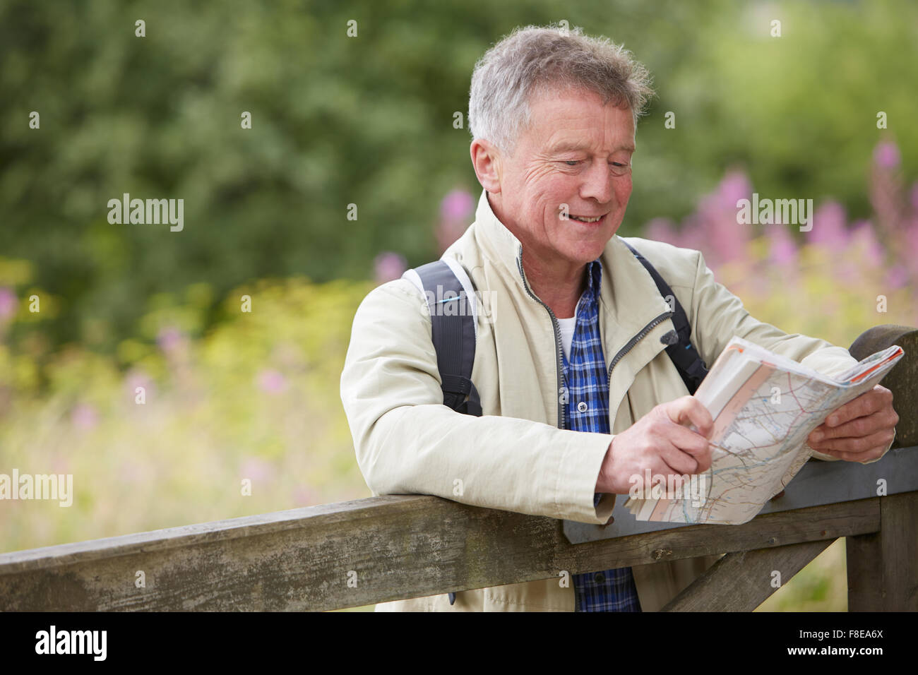 Senior Man Hiking In Countryside Stock Photo - Alamy