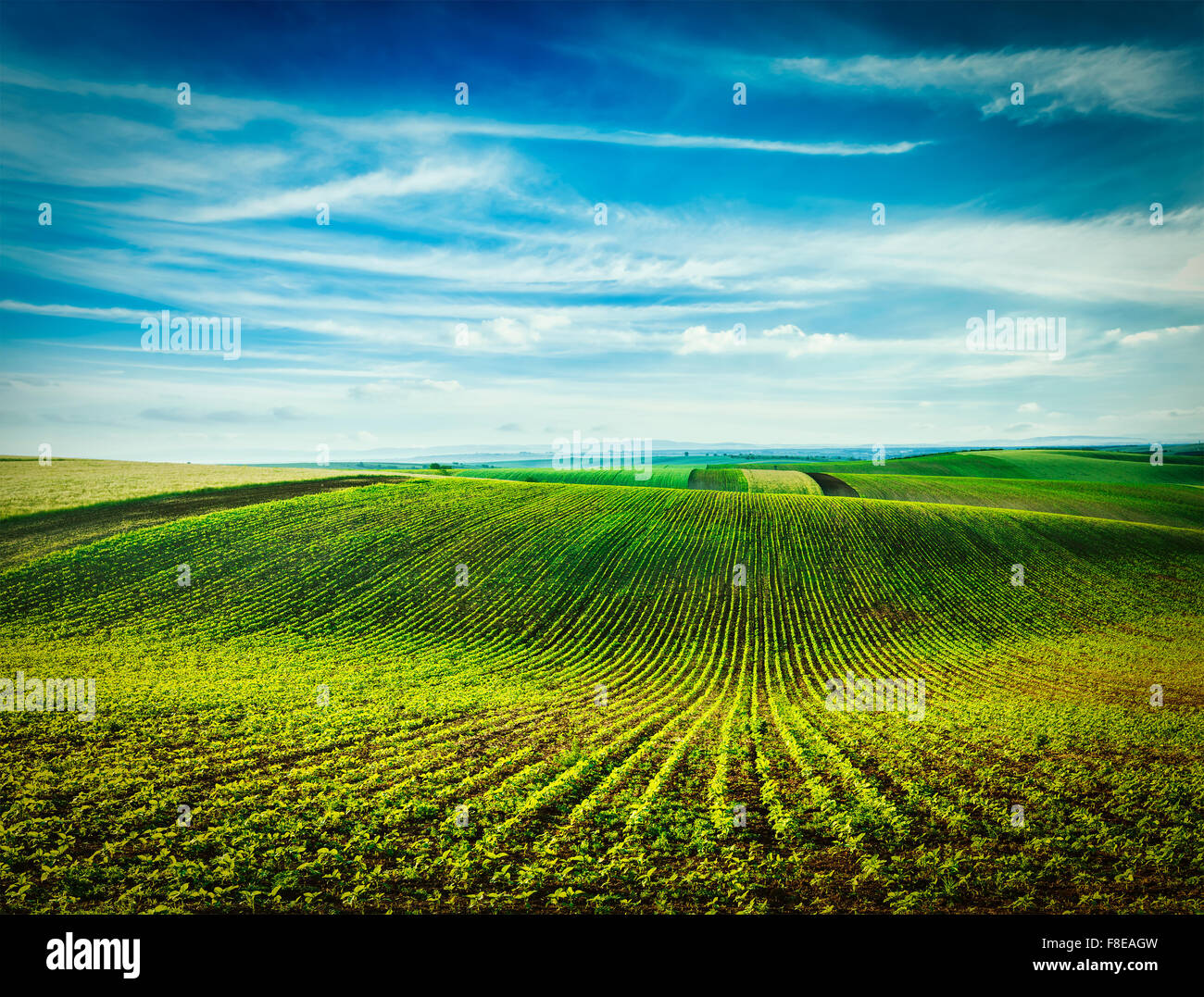 Rolling fields of Moravia Stock Photo - Alamy