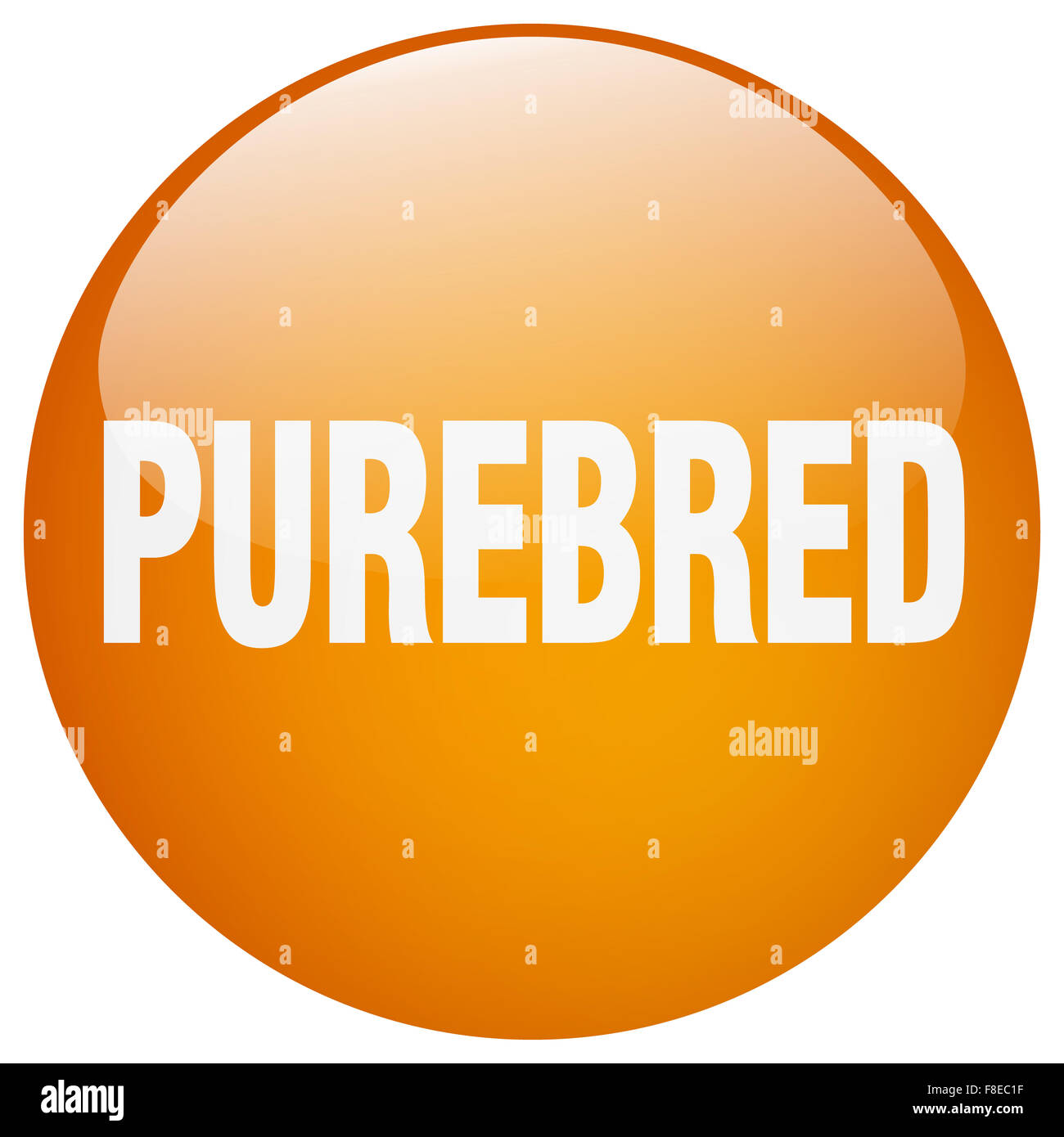 purebred orange round gel isolated push button Stock Photo - Alamy