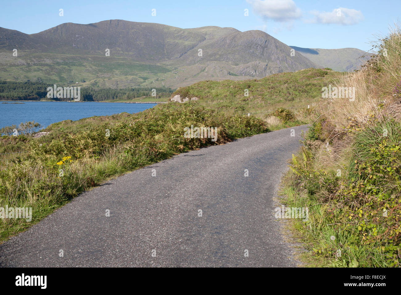 Lough Currane, Waterville; County Kerry; Ireland Stock Photo - Alamy