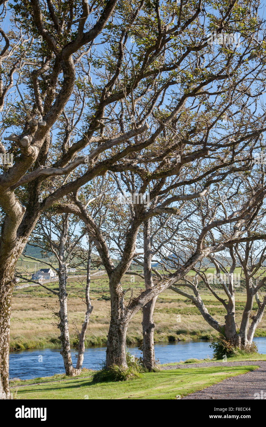 Currane river hi-res stock photography and images - Alamy