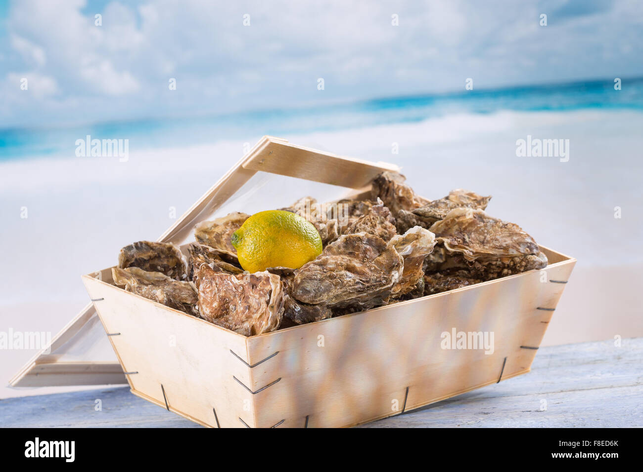 Clam box hi-res stock photography and images - Alamy