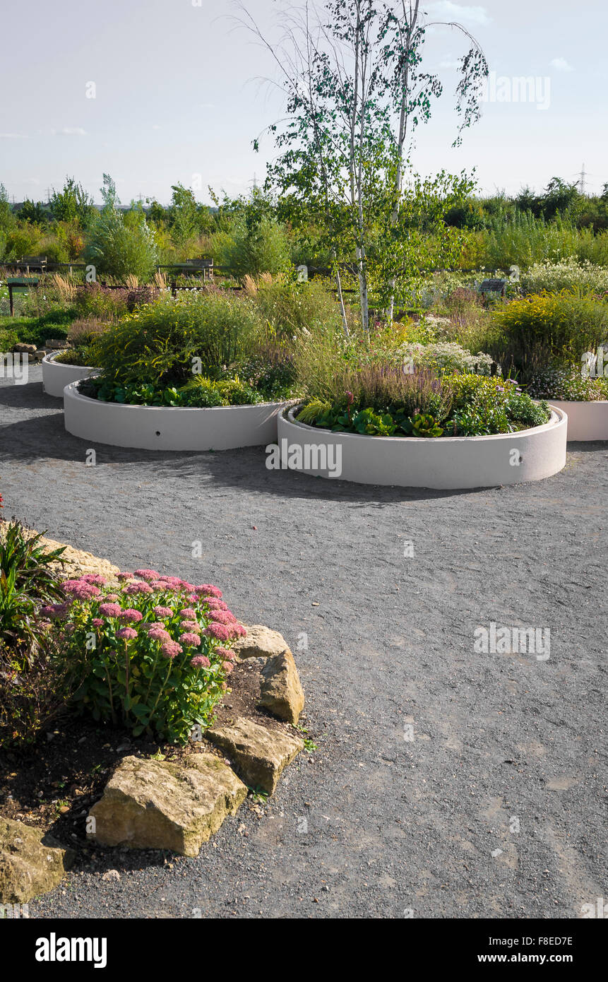 Garden glower hi-res stock photography and images - Alamy