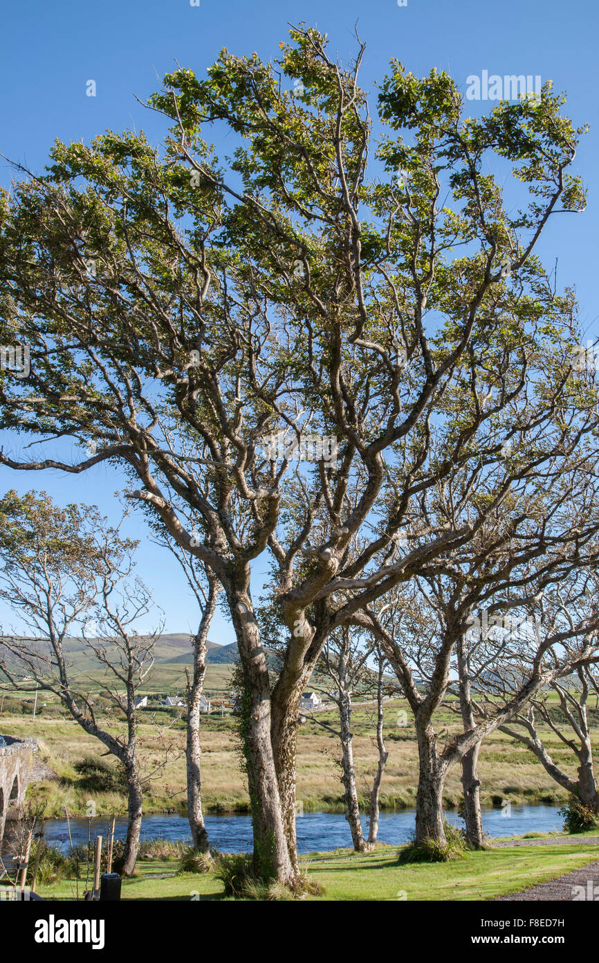 Currane river hi-res stock photography and images - Alamy