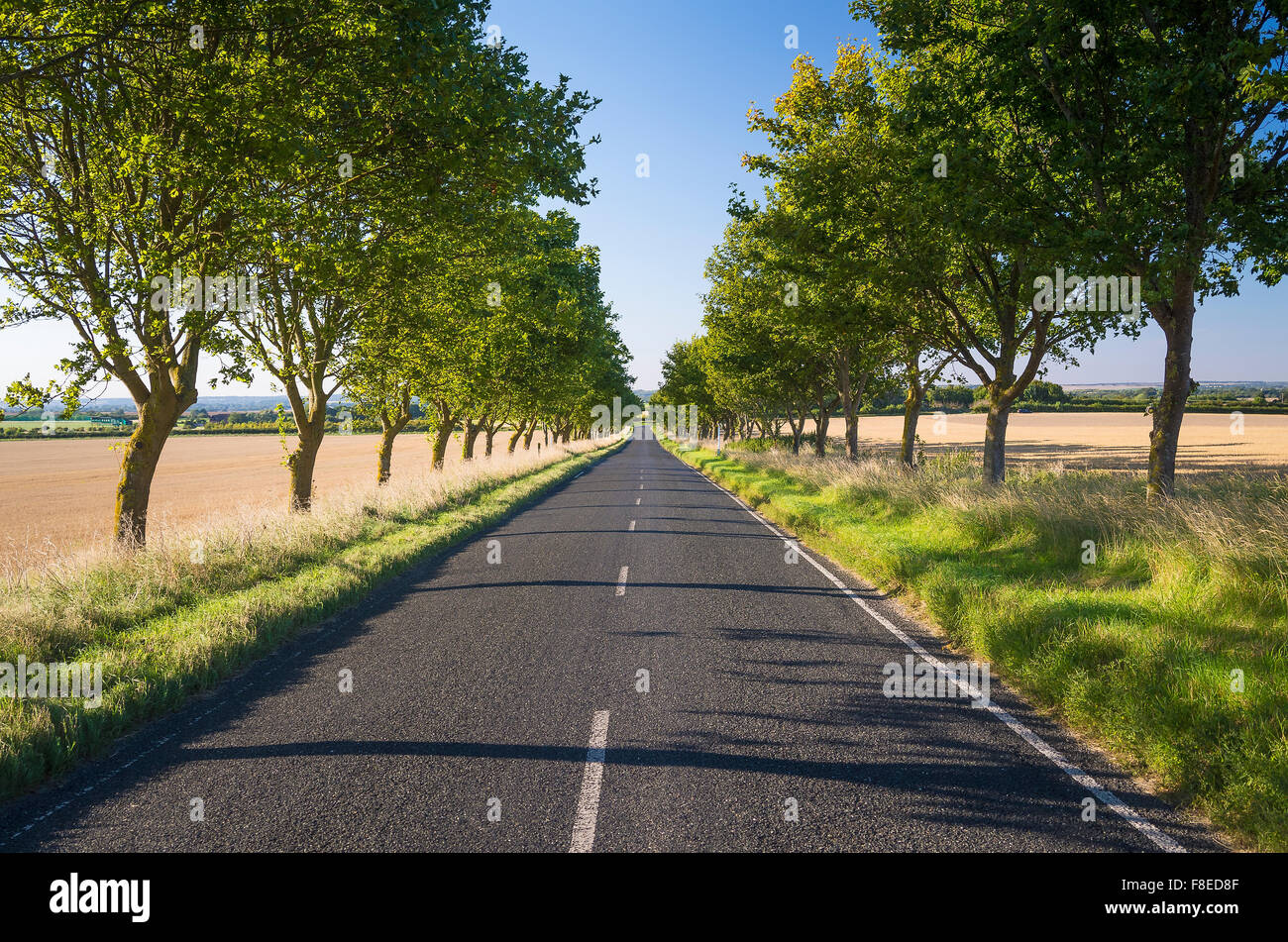 Flat lands east anglia hi-res stock photography and images - Alamy