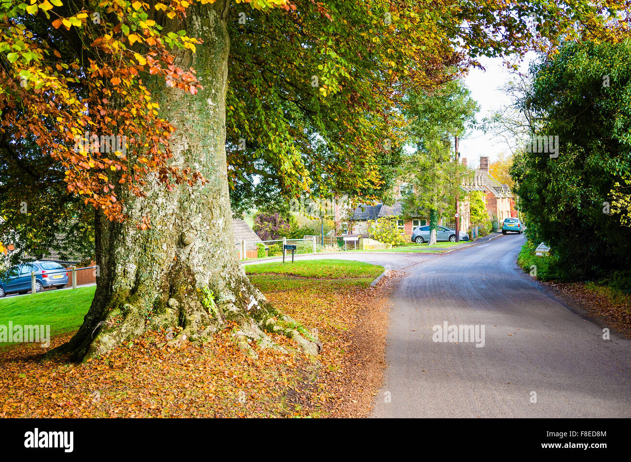 Bremhill hi-res stock photography and images - Alamy