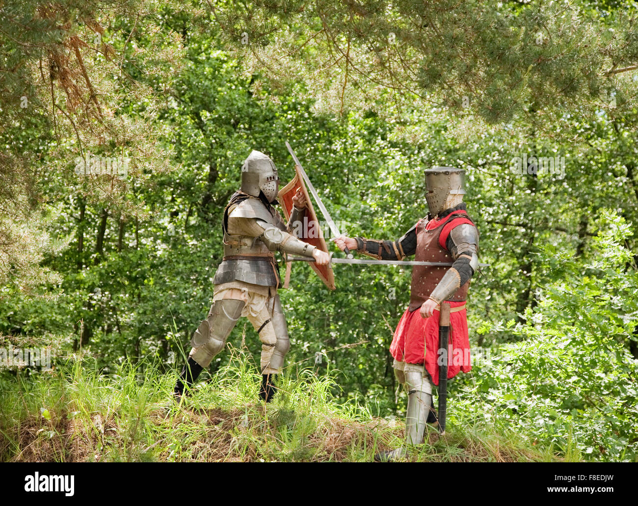 Two knights in armor is fighting at forest Stock Photo - Alamy