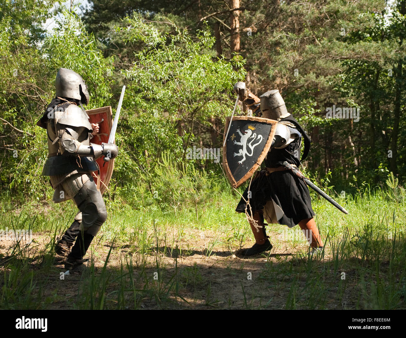 Two knights in armor is fighting at forest Stock Photo - Alamy