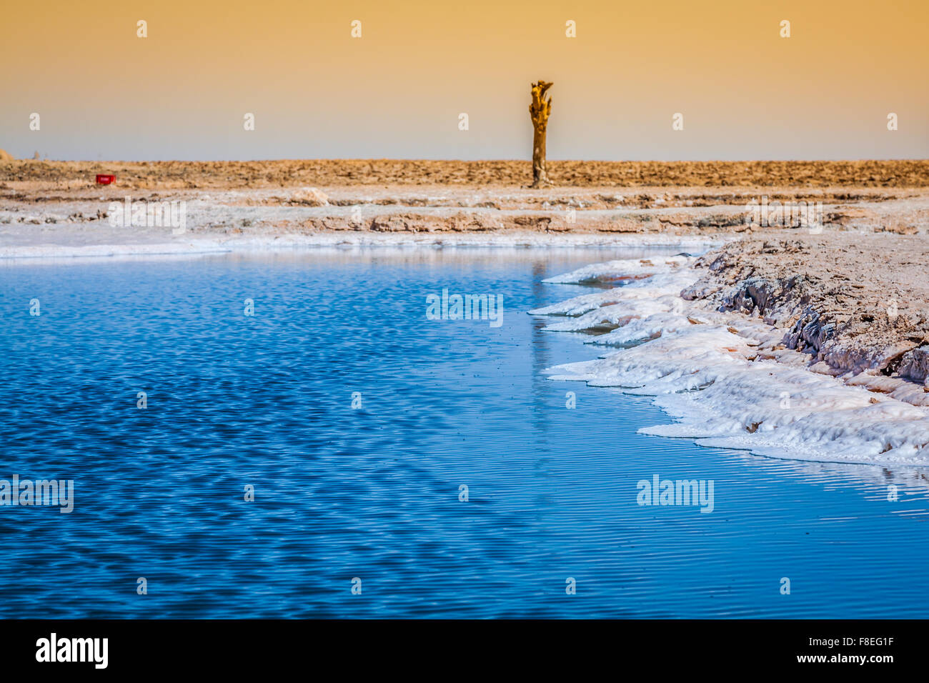 Chott el Djerid, salt lake in Tunisia Stock Photo - Alamy
